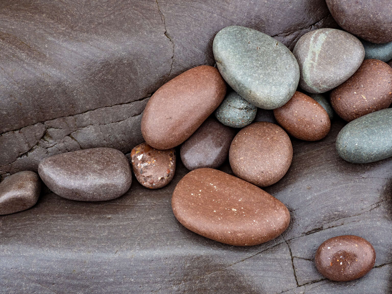 Natural Abstracts in Photography | OM SYSTEM