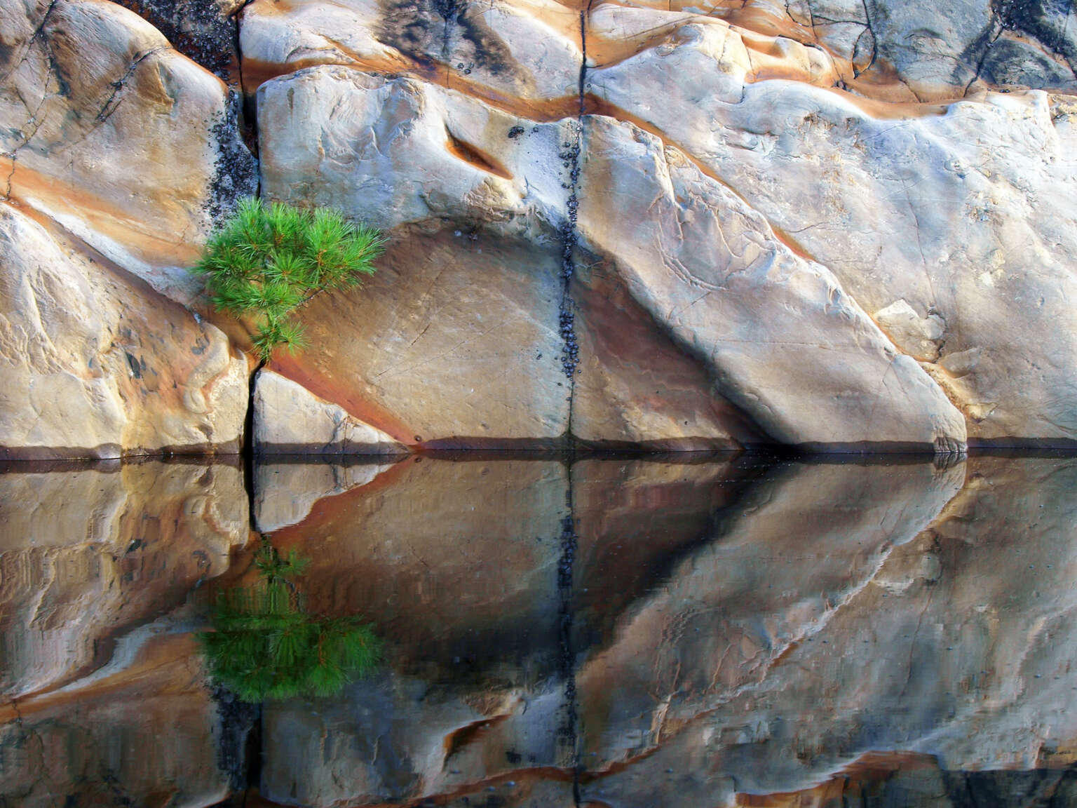 Natural Abstracts in Photography | OM SYSTEM