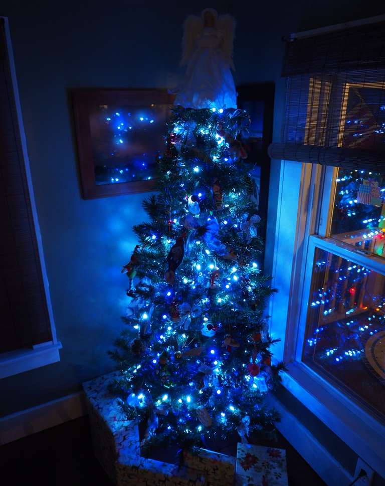 Capturing Your Christmas Tree | OM SYSTEM