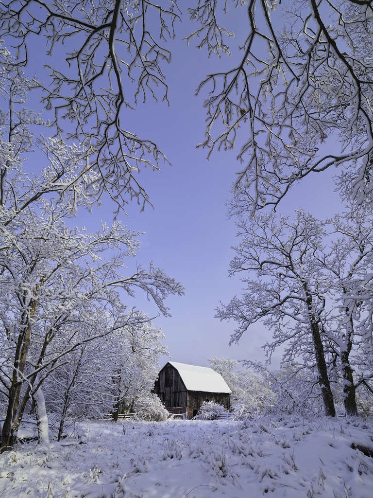 10 Tips to Improve Your Winter Compositions | OM SYSTEM