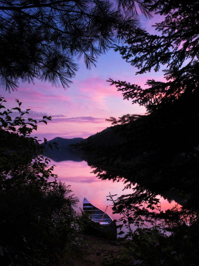 Using Natural Frames to Improve Your Composition | OM SYSTEM