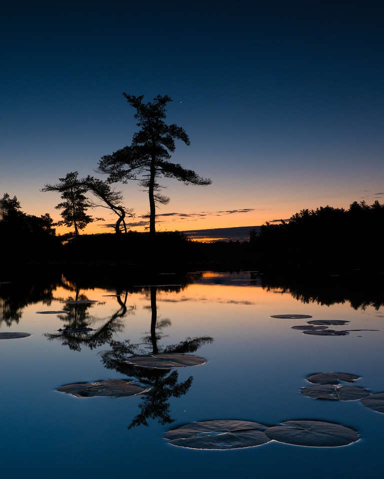 Using Focus Bracketing and Stacking in Landscape Photography | OM SYSTEM