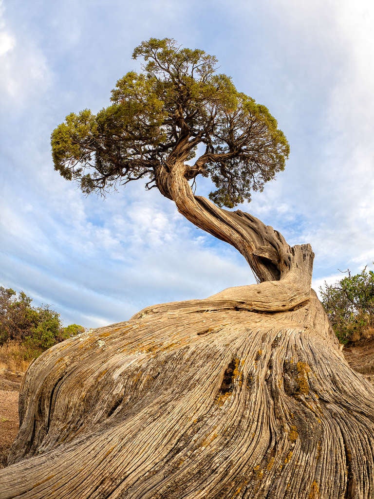Using Focus Bracketing and Stacking in Landscape Photography | OM SYSTEM