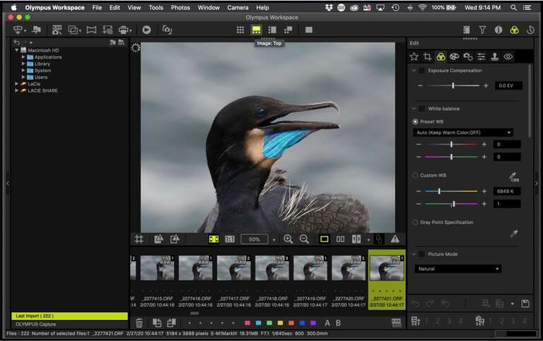 OM Workspace: A Beginner's Guide | OM SYSTEM