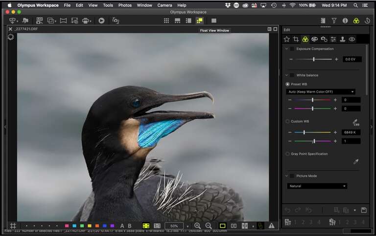 OM Workspace: A Beginner's Guide | OM SYSTEM