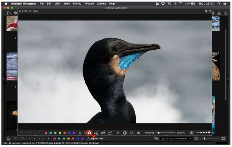 OM Workspace: A Beginner's Guide | OM SYSTEM