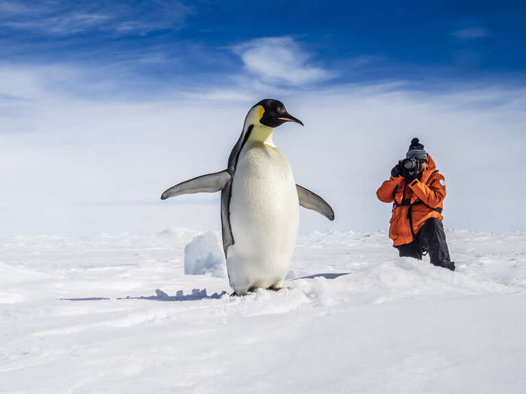 On the Ice with the World's Largest Penguins | Olympus