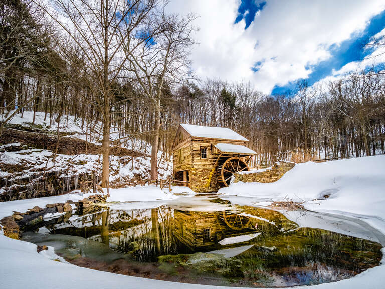 Photographing Your Winter Wonderland | OM SYSTEM