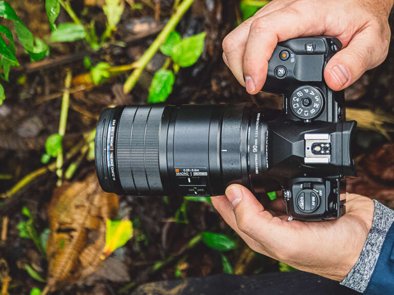 Finding Interest in the Ordinary | OM SYSTEM