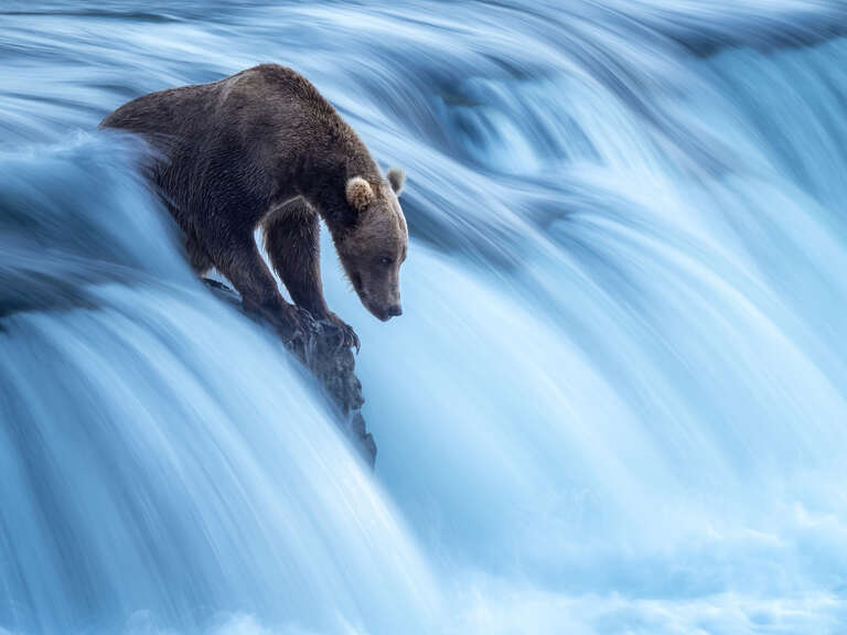 Optimizing Camera Settings for Wildlife Photography | OM SYSTEM