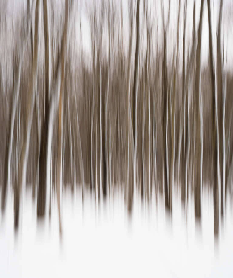 Natural Abstracts in Photography | OM SYSTEM