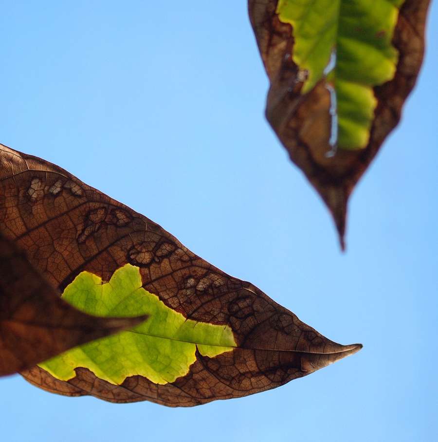 11 Tips for Capturing Spring | OM SYSTEM