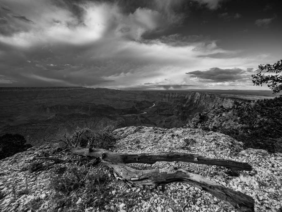 THE ART OF THE LOW SHOT | OM SYSTEM