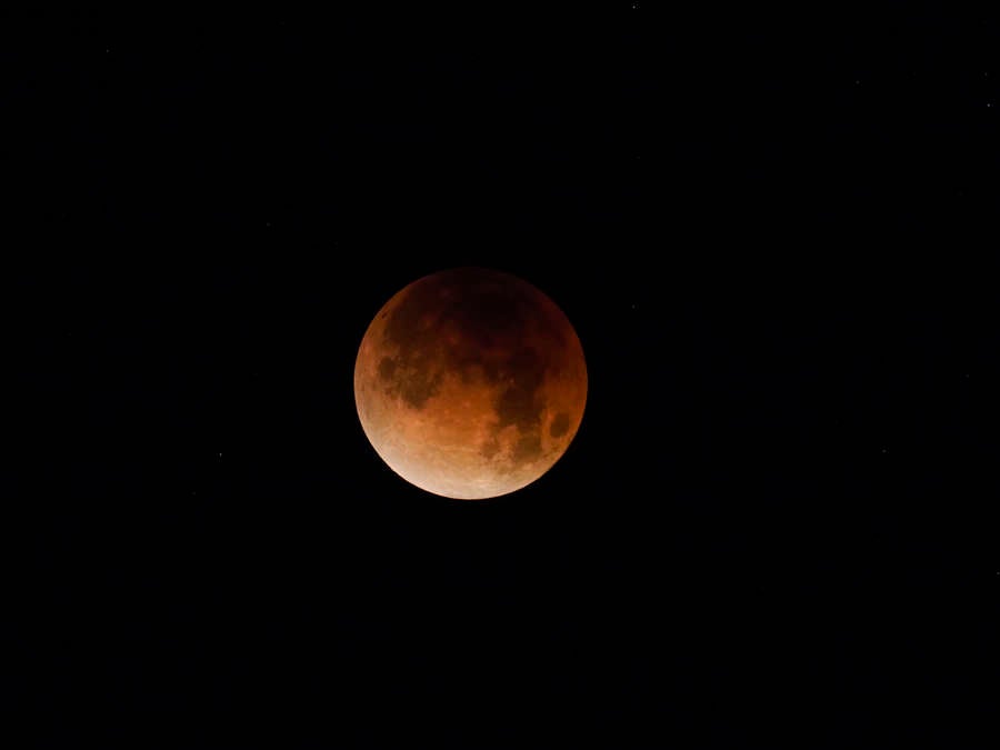 Six Tips for Super Blood Moon Photography | OM SYSTEM
