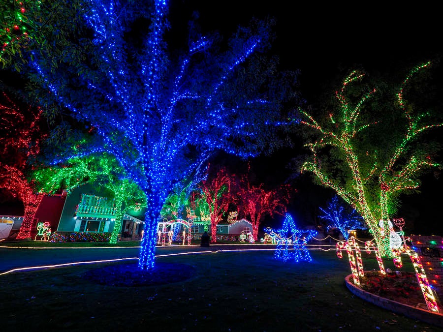 5 Tips for Capturing Christmas Lights | OM SYSTEM