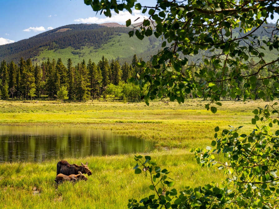 Using Natural Frames to Improve Your Composition | OM SYSTEM
