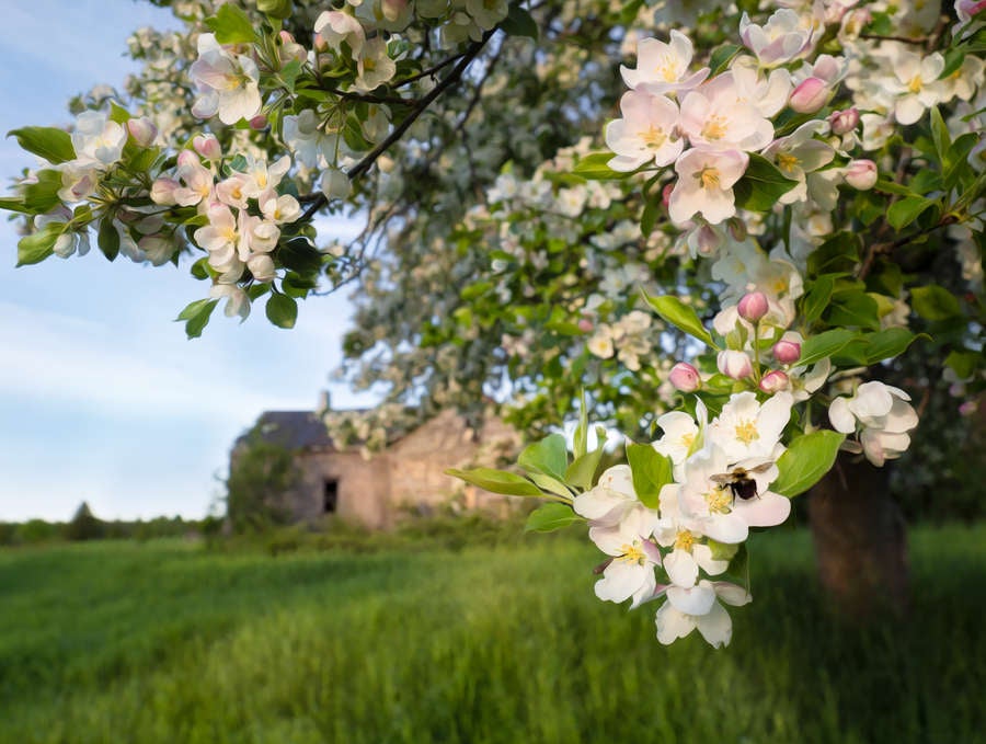 Using Focus Bracketing and Stacking in Landscape Photography | OM SYSTEM