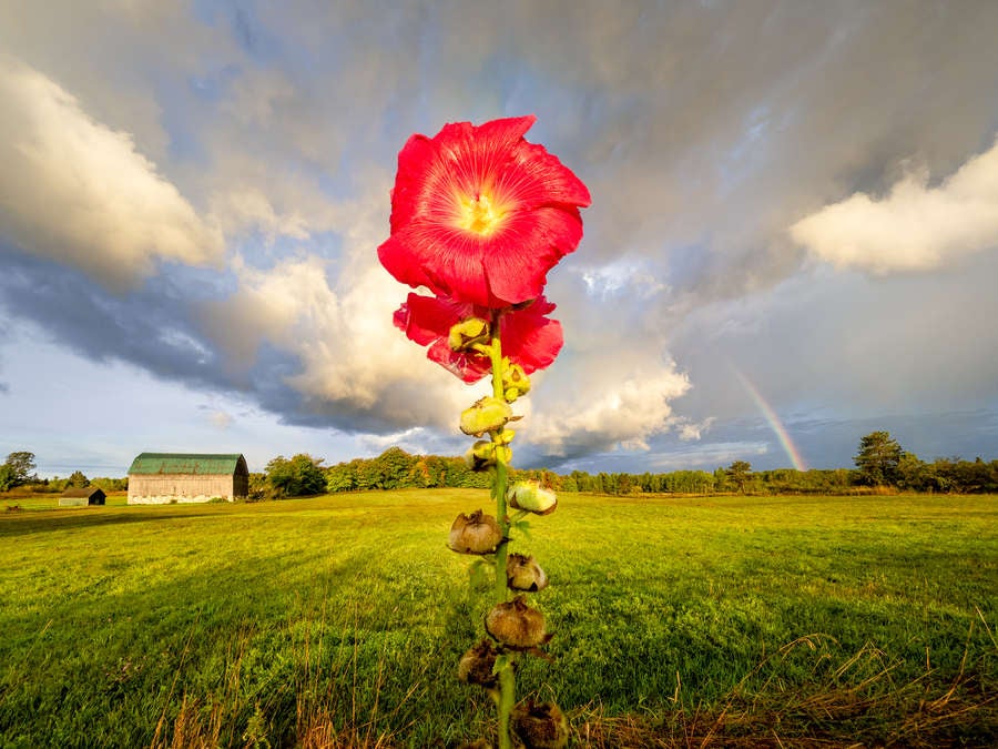 Using Focus Bracketing and Stacking in Landscape Photography | OM SYSTEM