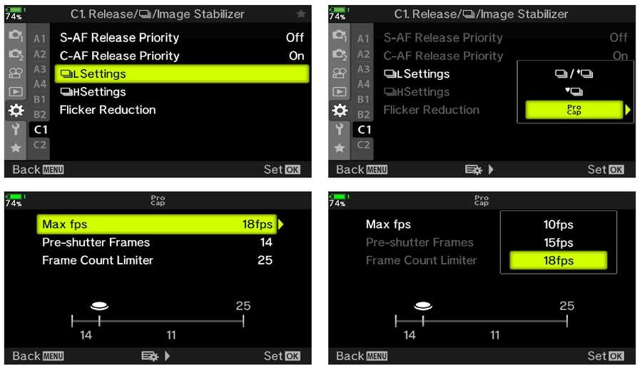 BIRD PHOTOGRAPHY WITH PRO CAPTURE | OM SYSTEM