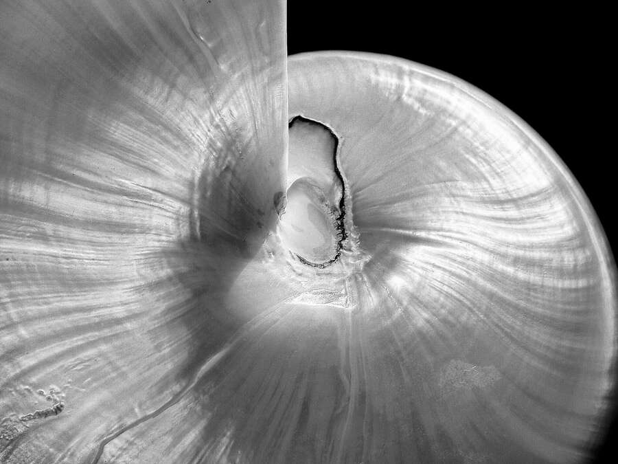 Window Light Studio | OM SYSTEM