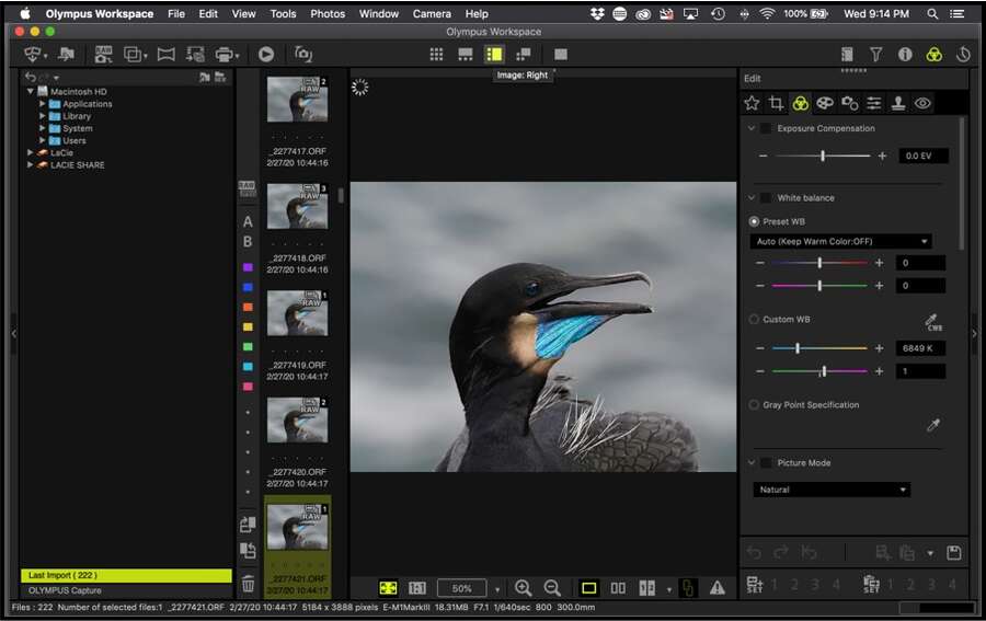 OM Workspace: A Beginner's Guide | OM SYSTEM