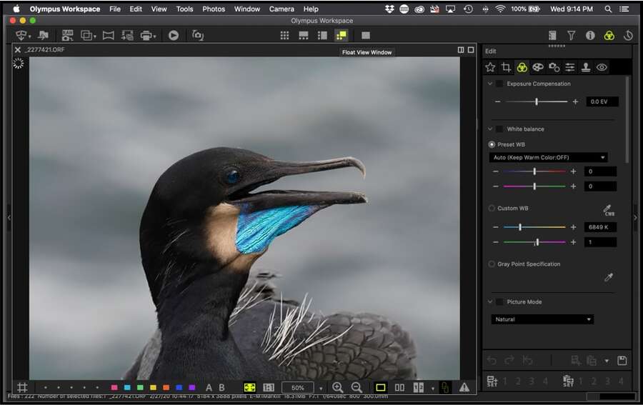 OM Workspace: A Beginner's Guide | OM SYSTEM