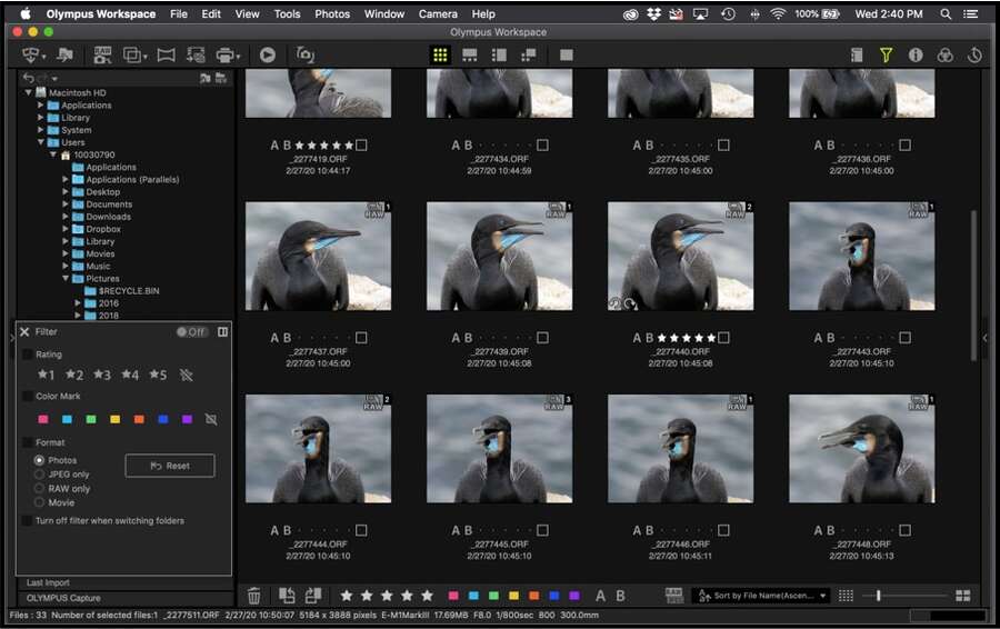 OM Workspace: A Beginner's Guide | OM SYSTEM