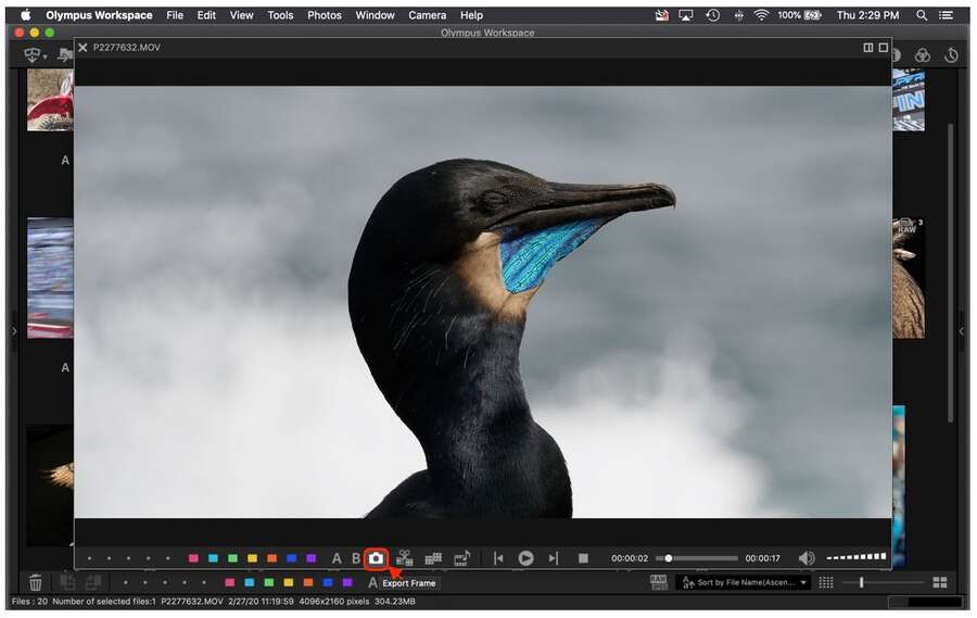 OM Workspace: A Beginner's Guide | OM SYSTEM