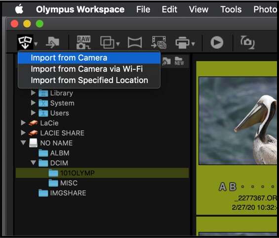 OM Workspace: A Beginner's Guide | OM SYSTEM