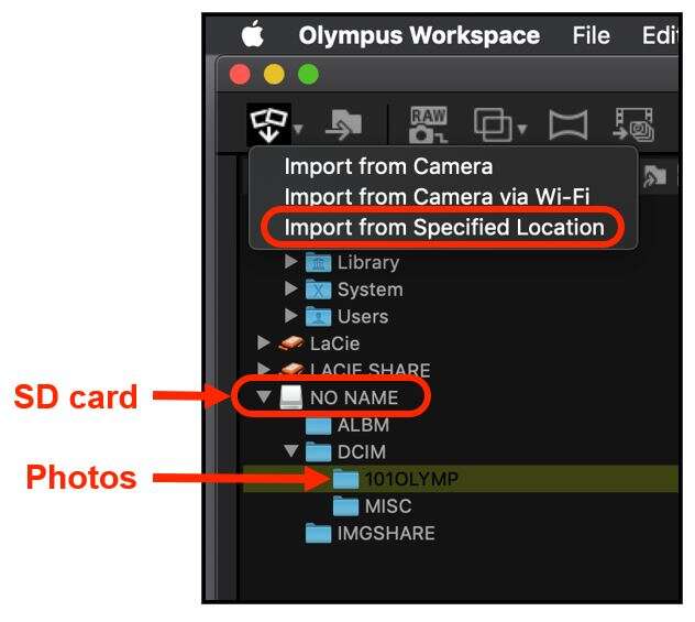 OM Workspace: A Beginner's Guide | OM SYSTEM