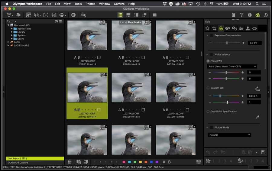 OM Workspace: A Beginner's Guide | OM SYSTEM
