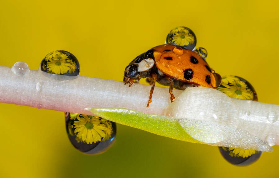 Capturing Refraction Photography | OM SYSTEM