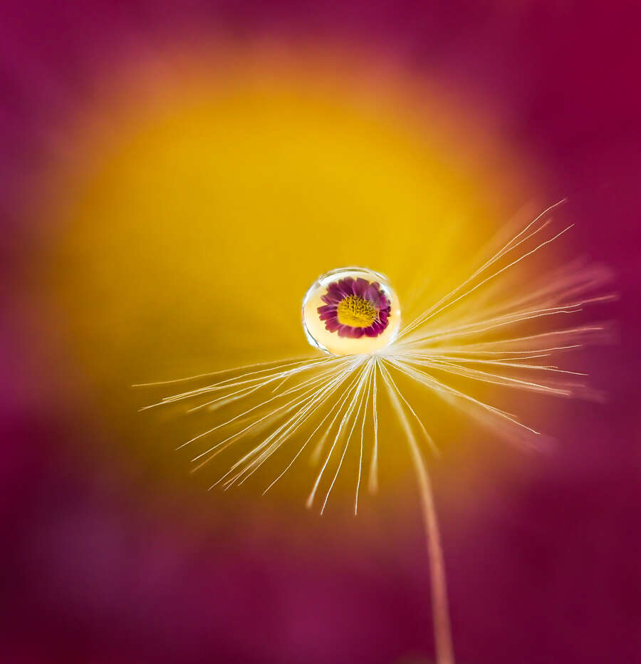 Capturing Refraction Photography | OM SYSTEM