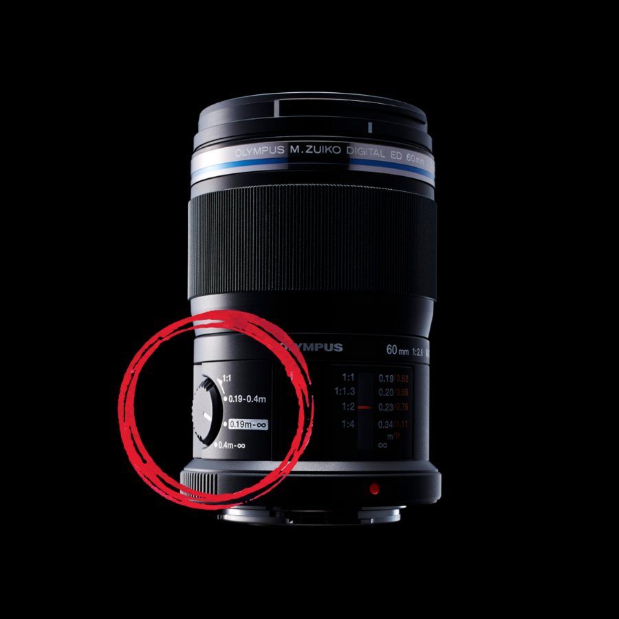 Mastering the 60mm Macro | OM SYSTEM