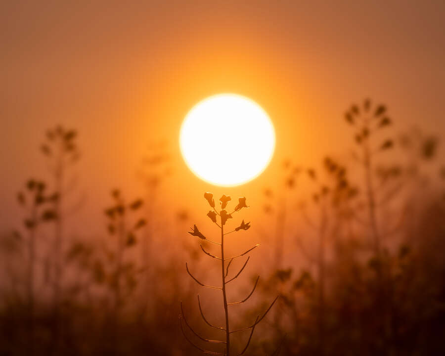 TAKING A GREAT SUNSET PHOTO | OM SYSTEM