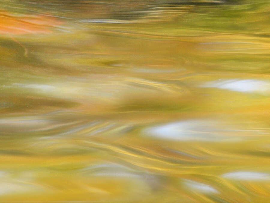 Natural Abstracts in Photography | OM SYSTEM