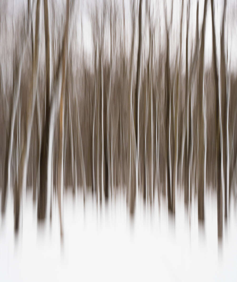 Natural Abstracts in Photography | OM SYSTEM