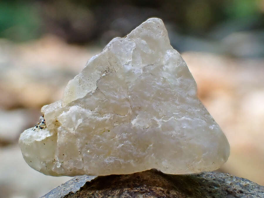 TG-7 Focus Stacking & Bracketing | OM SYSTEM