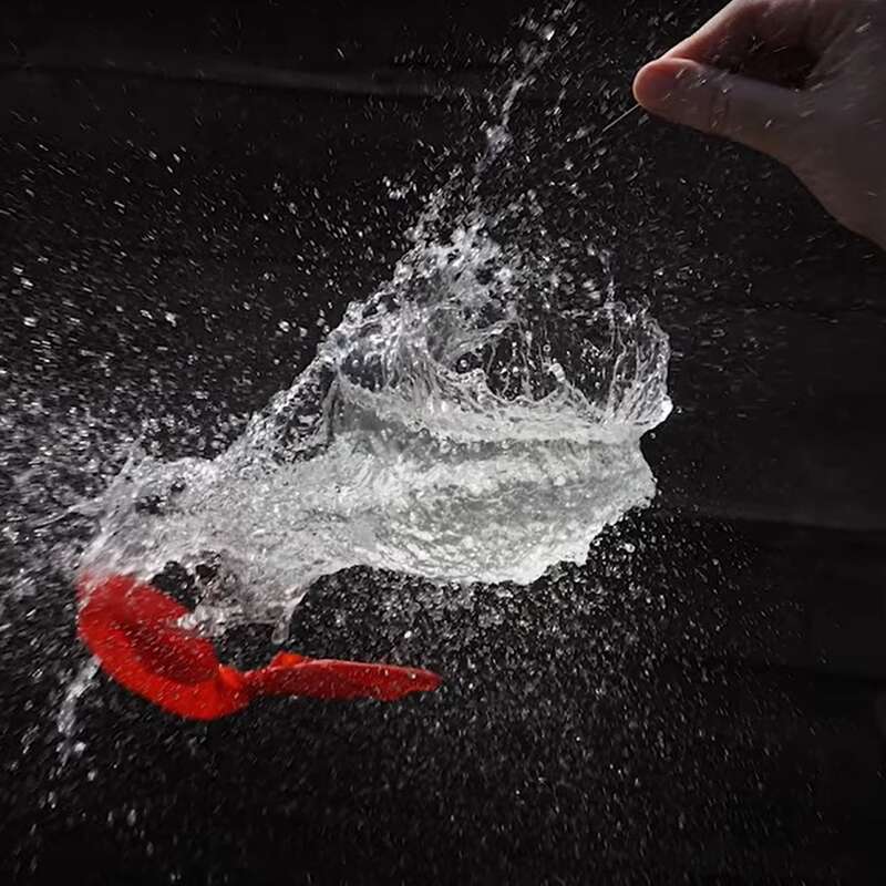 BIRD PHOTOGRAPHY WITH PRO CAPTURE | OM SYSTEM